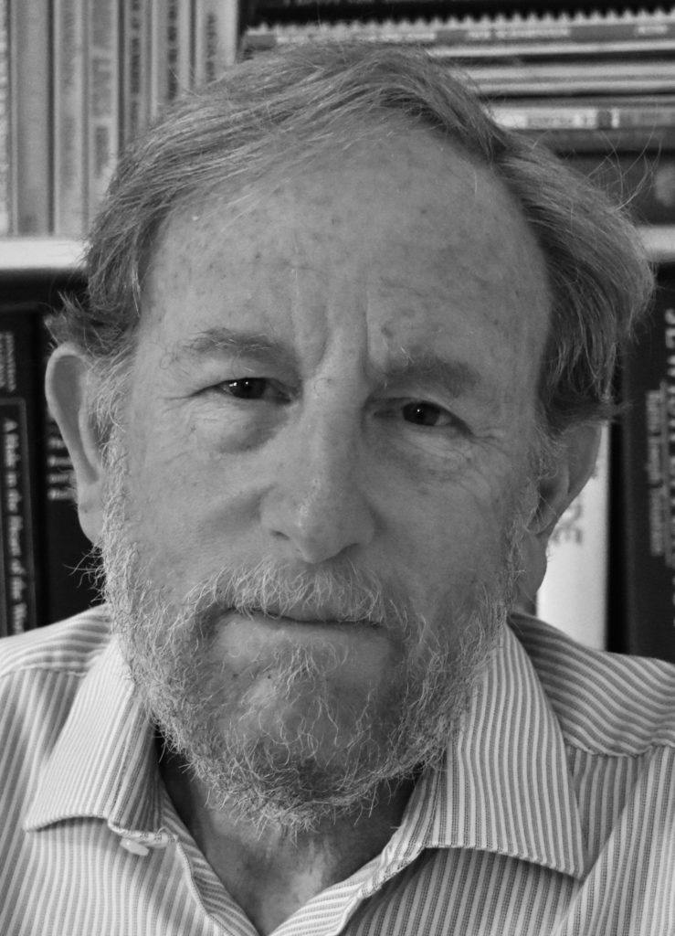 Dr. Larry Bergmann, PhD - Blue Moon Consulting Group